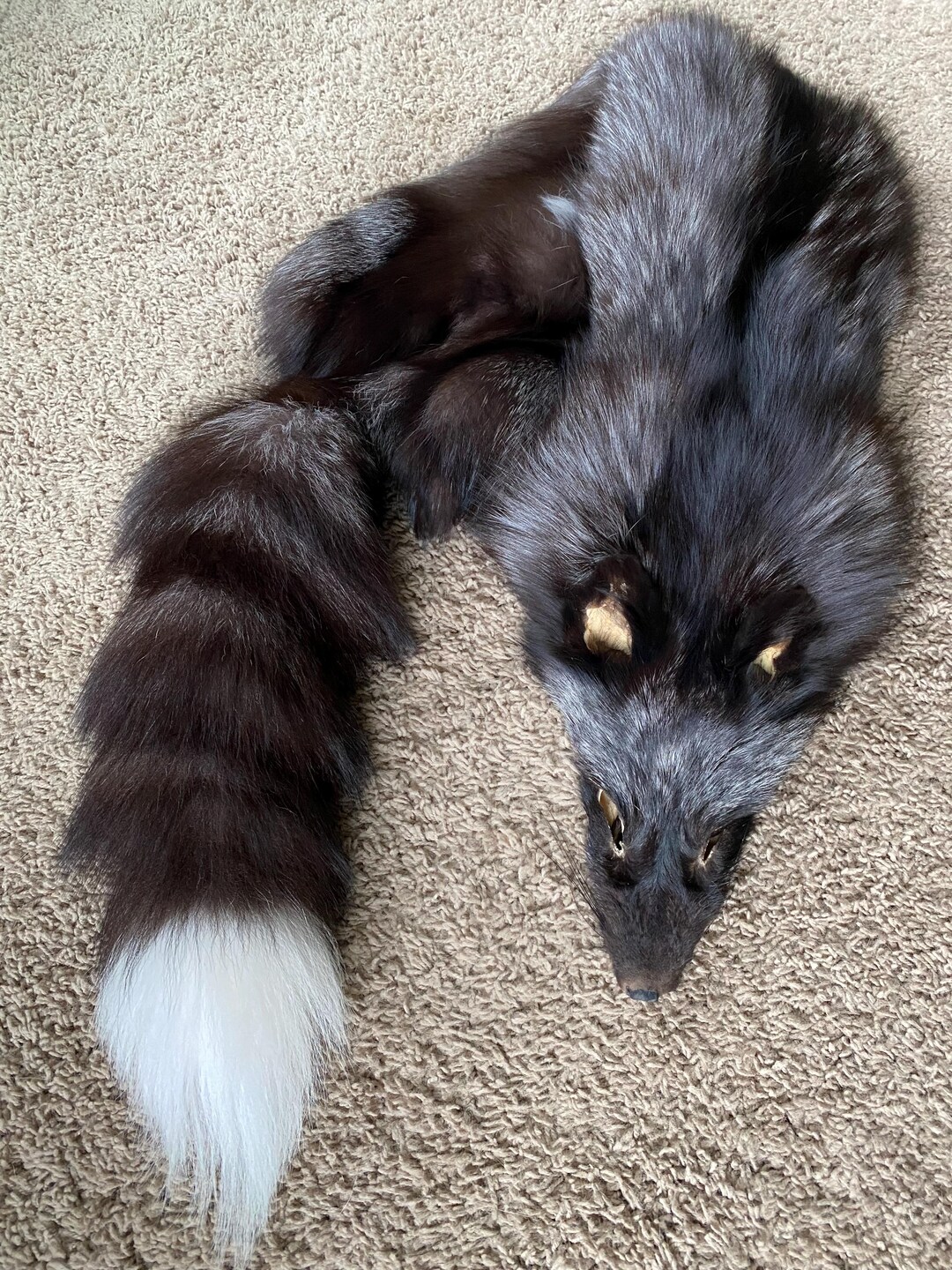 Jumbo Ranch Silver Fox Pelt Skin Fur Fresh Tanned Top Quality Rustic ...