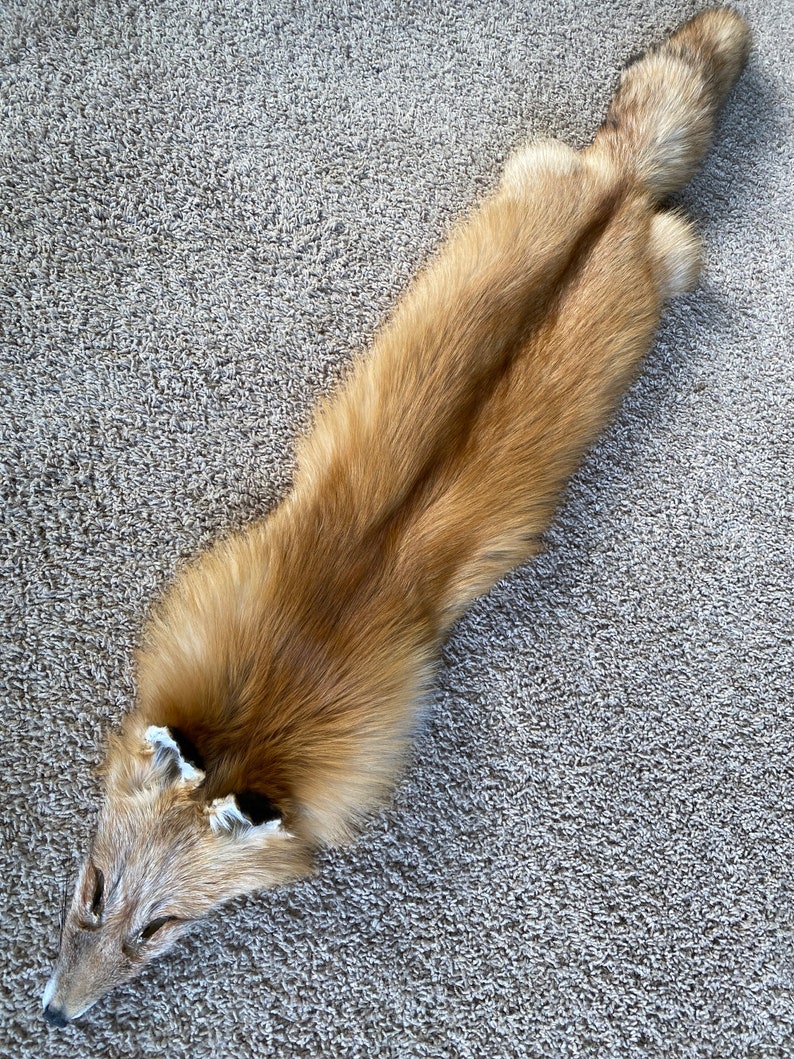 Heavy Red Fox Pelt Select Tanned Fur Farmed Great Leather Soft - Etsy