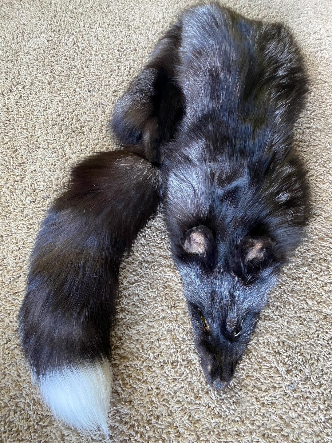 SELECT Ranch Silver Fox Pelt Tanned Fur Great Leather Soft Fluffy Fur ...