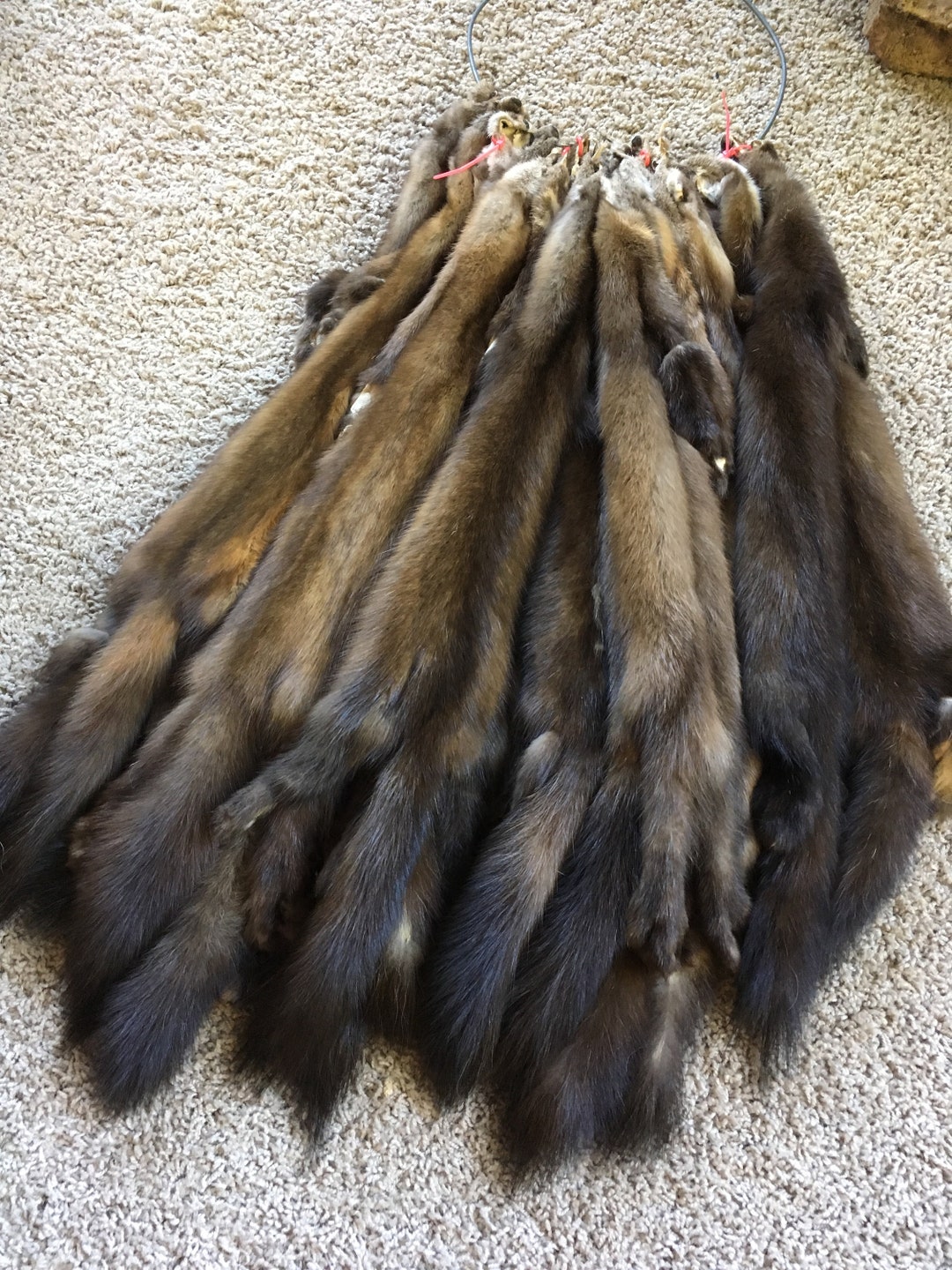 MARTEN Pelts Tanned to Perfection Log Cabin Decor Man Cave Art Leather ...