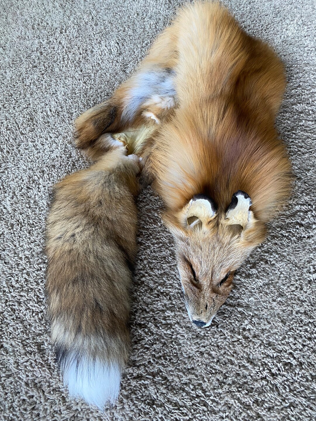 Heavy Ranch Red Fox Pelt Select Tanned Fur Farmed Great Leather Soft ...