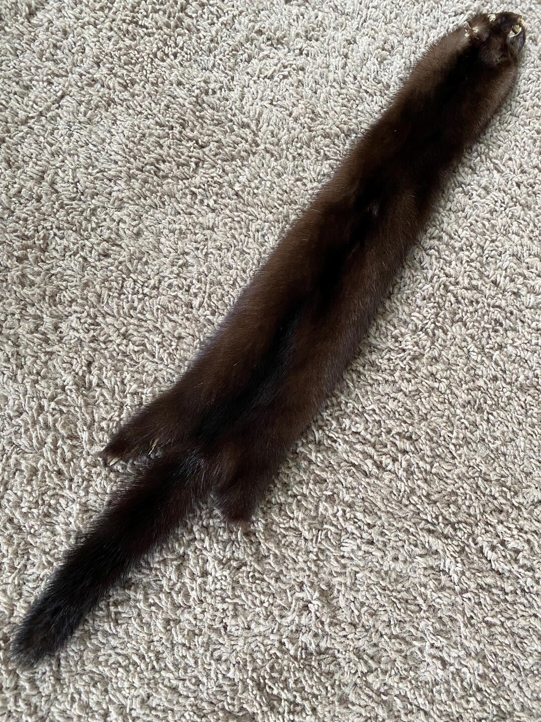 SELECT WILD MINK Pelt Tanned Log Cabin Decor Man Cave Art Leather Wild ...