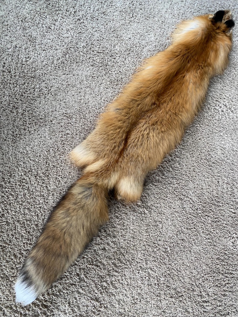 Ranch Red Fox Pelt Select Tanned Fur Great Leather Soft Fluffy Fur Wall ...