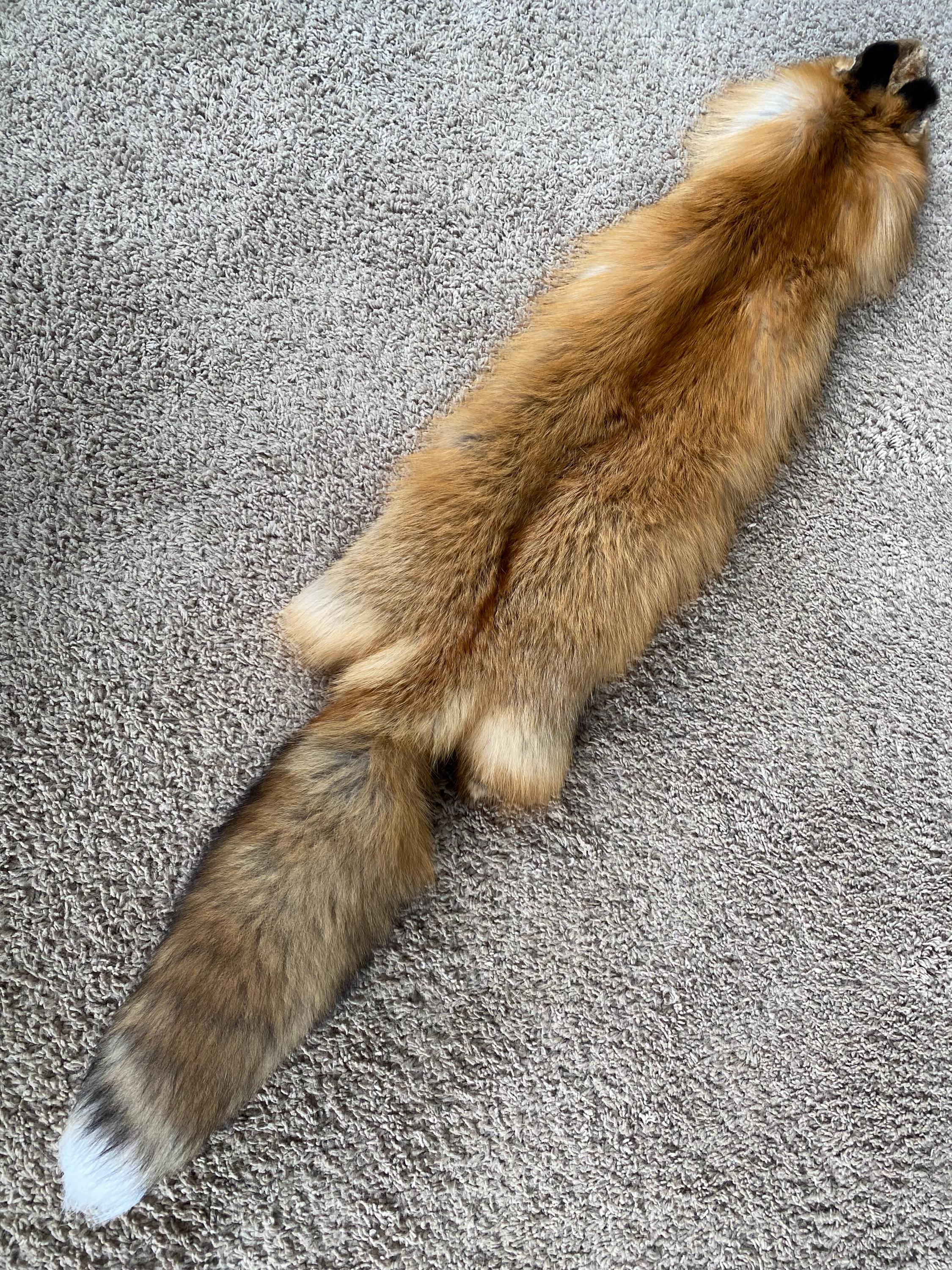 Ranch Red Fox Pelt Select Tanned Fur Great Leather Soft Fluffy Fur Wall ...