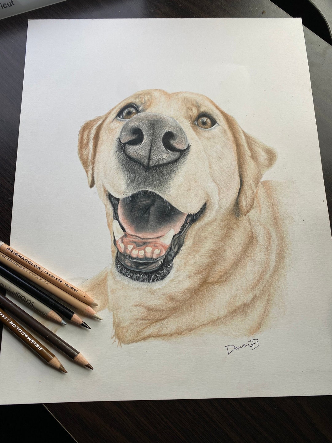 Custom Pet Drawing 11x14in Realistic Animal Portrait, Personalized Art ...