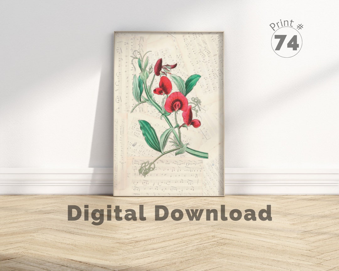 Vintage Botanical Print, Red Botanical Print, Vintage Botanical, Floral ...