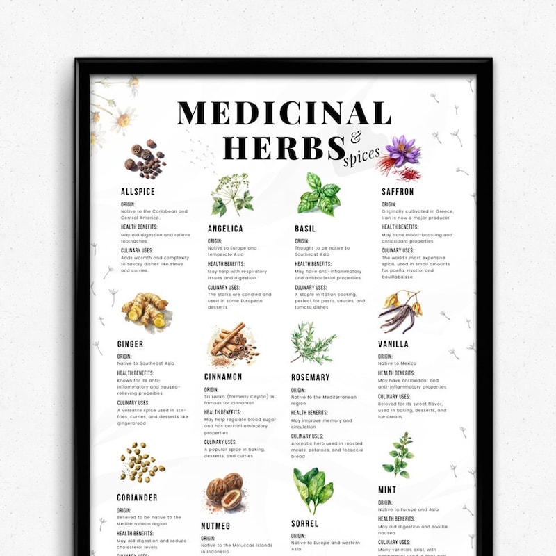 Herb Poster - Etsy