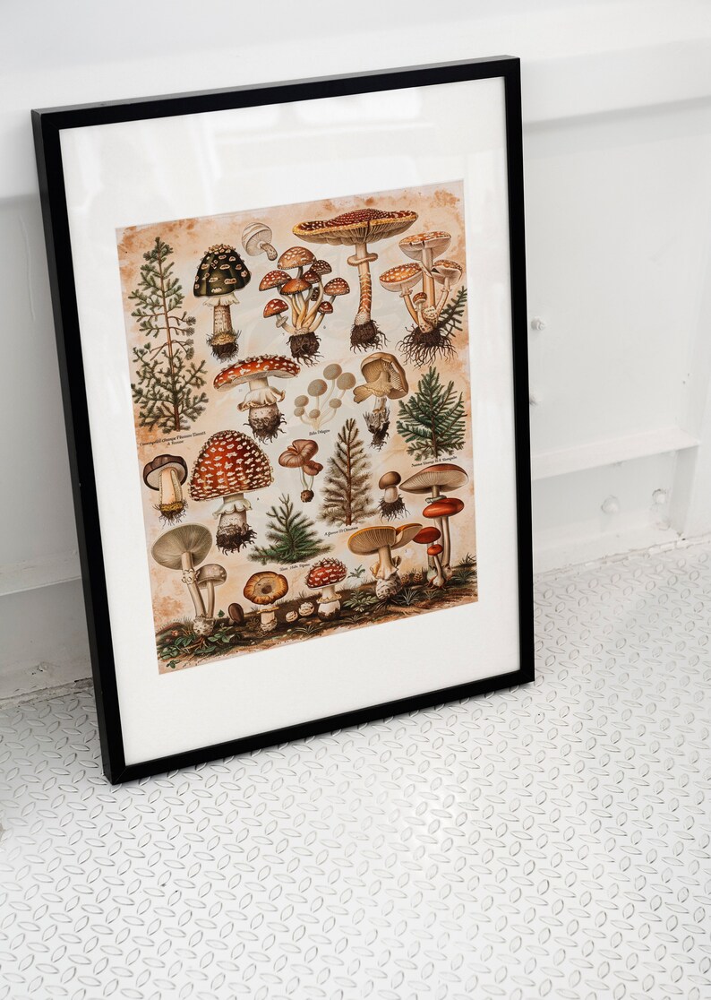 Mushrooms, Pine Trees, Digital Poster, Illustration, Nature Art ...