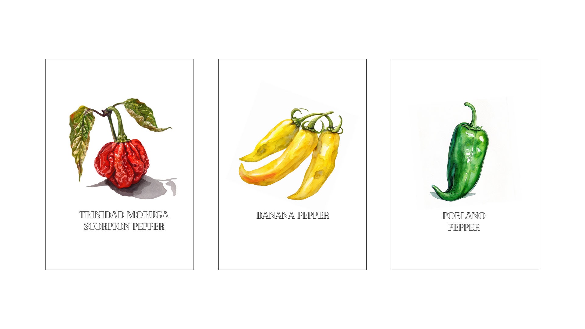Watercolor, Poster, Chili Peppers, Interior, Design, Kitchen, Spices ...