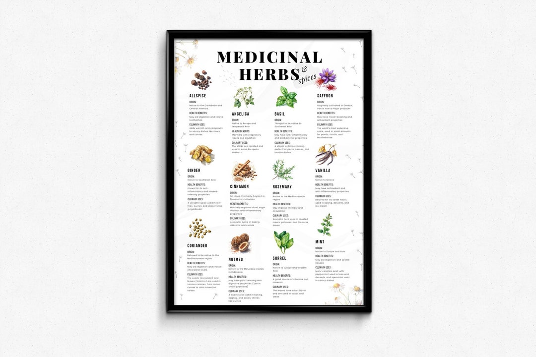 Medicinal Herbs Poster, Spice Guide, Herb Chart, Kitchen Decor,culinary ...