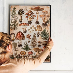 Mushrooms, Pine Trees, Digital Poster, Illustration, Nature Art ...