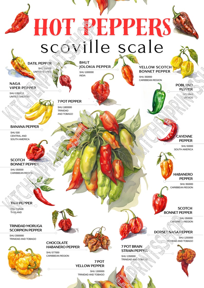 Chili Pepper Spice Poster, Kitchen Posters, Hot Chili Pepper Poster ...