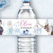 FROZEN WATER Bottle Label, Frozen Elsa and Anna Water Bottle Label ...