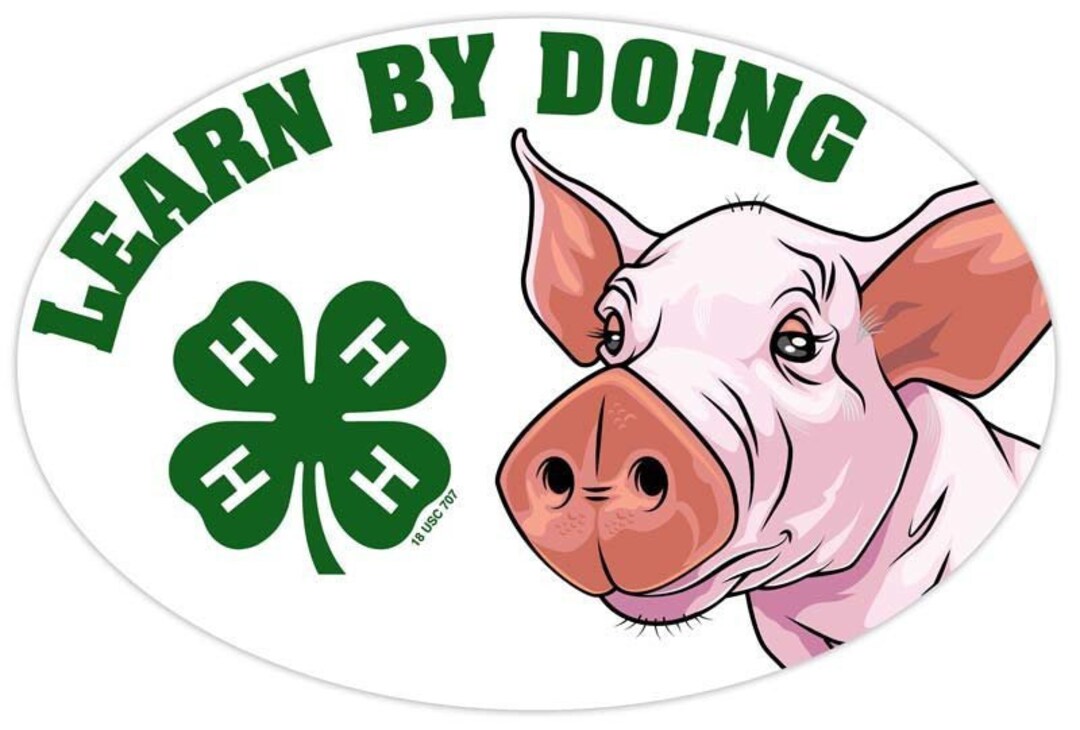 4-H Magnet Pig Learn by Doing SP7622 - Etsy