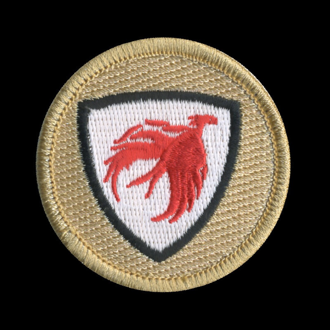Phoenix Shield Patrol Patch - Etsy