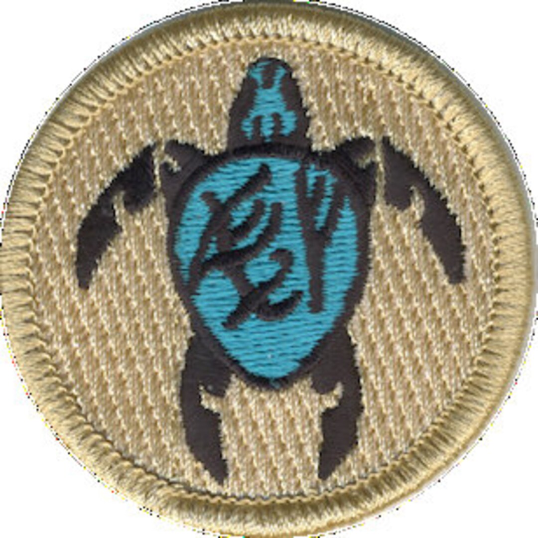 Fearless Firsts Sea Turtles Patrol Patch - Etsy