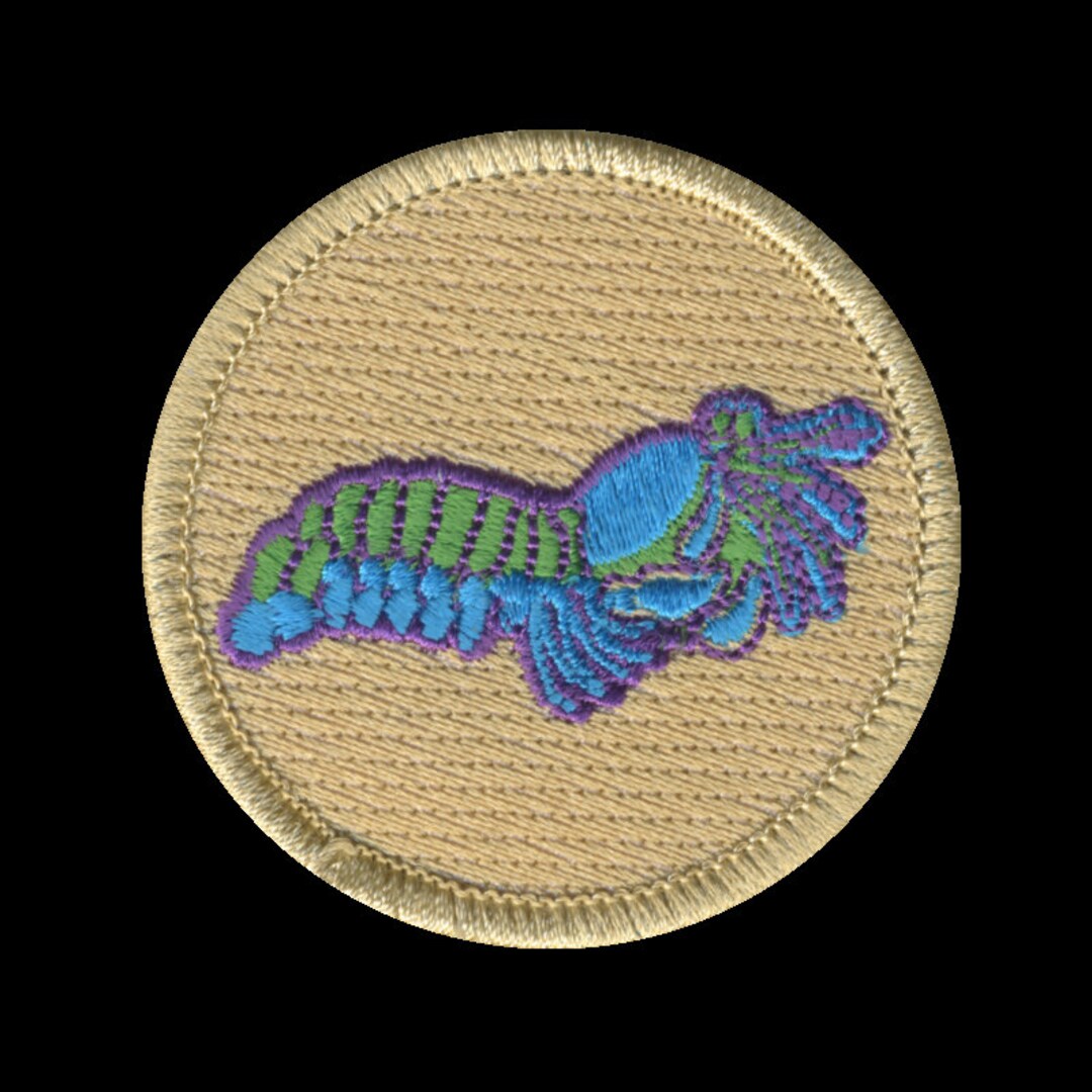 Mantis Shrimp Patrol Patch - Etsy