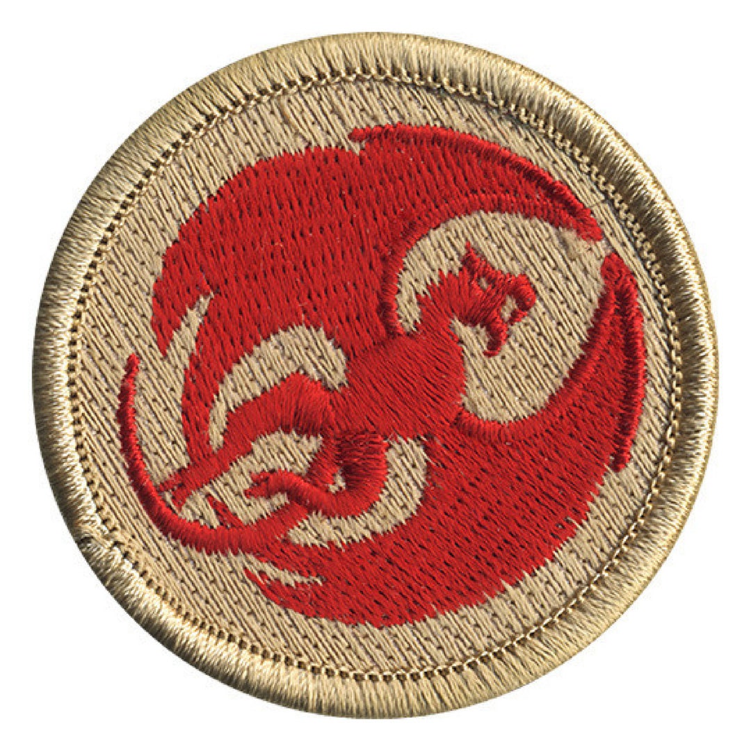 Official Licensed Dragon Patrol Patch - Etsy