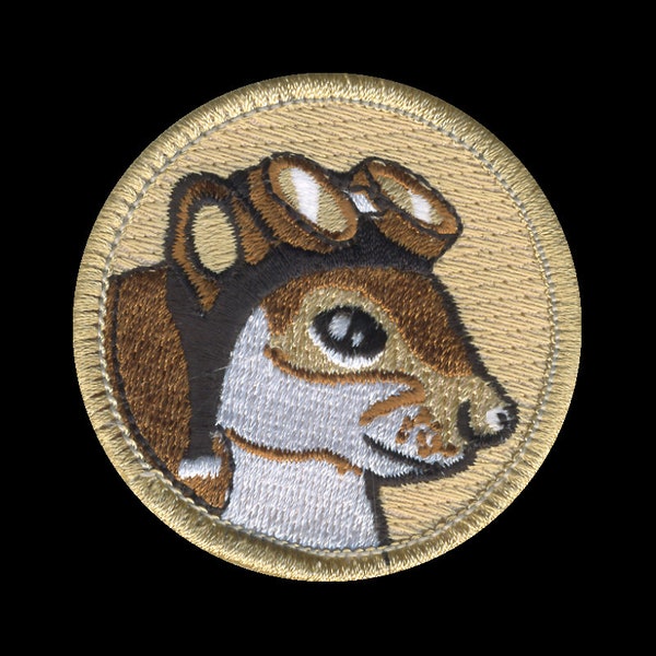 Flying Squirrel Patch - Etsy