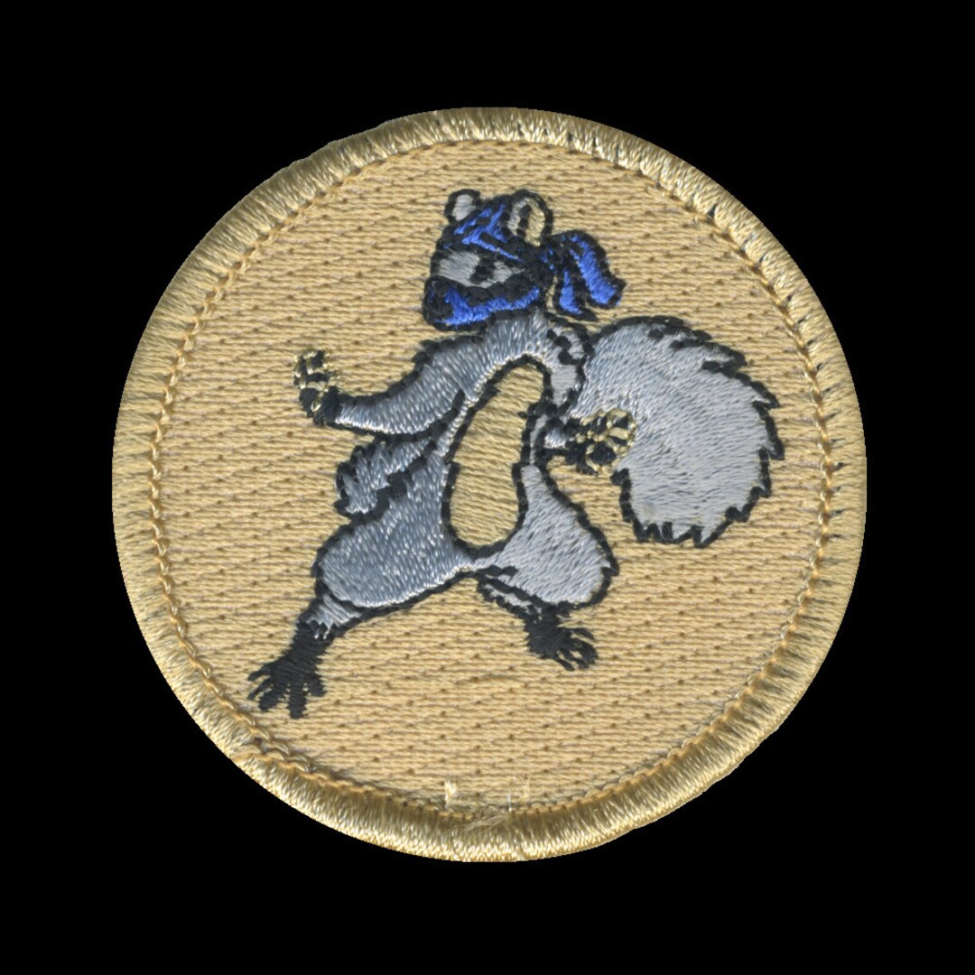 Assassin Ninja Squirrel Patrol Patch - Etsy