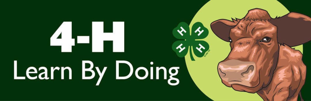 Beef Cattle Learn by Doing 4-H Bumper Sticker SP7600 - Etsy