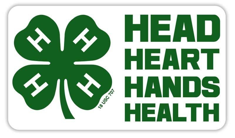 4-h's of the Pledge 4-H Sticker SP7621 - Etsy