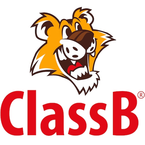 ClassBScoutPatches - Etsy