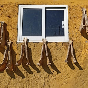 Quijada, Charrasca, Cacharaina, Charaina, Horse Jaw, Percussion ...