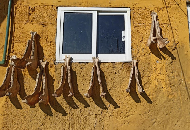 Quijada, Charrasca, Cacharaina, Charaina, Wheelbarrow, Kahuaha ...