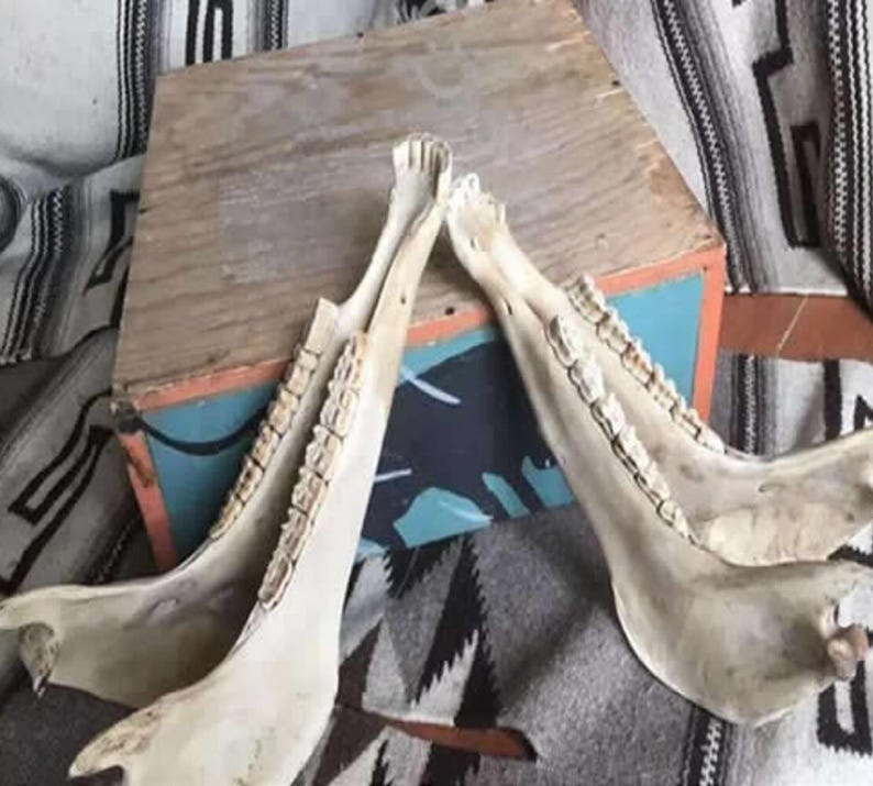 Quijada, Charrasca, Cacharaina, Charaina, Horse Jaw, Percussion ...