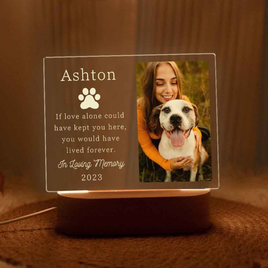 Personalized Photo Pet Memorial Plaque Light Up, Customized Dog ...