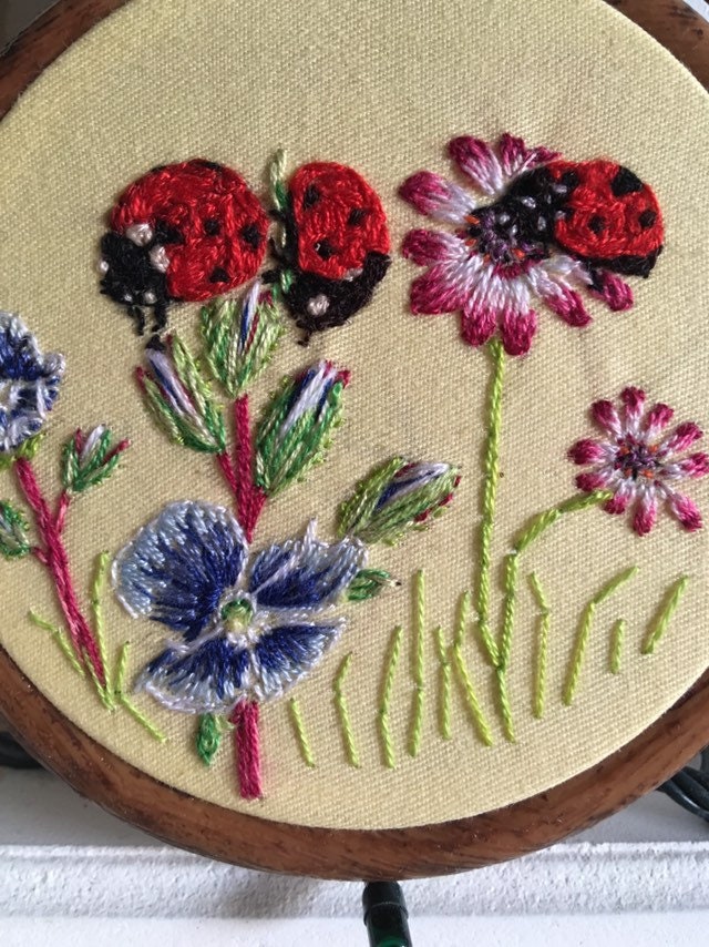 Ladybird Embroidery Beautiful Floral Design Very Pretty - Etsy