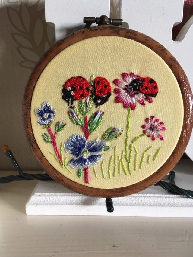 Ladybird Embroidery Beautiful Floral Design Very Pretty - Etsy