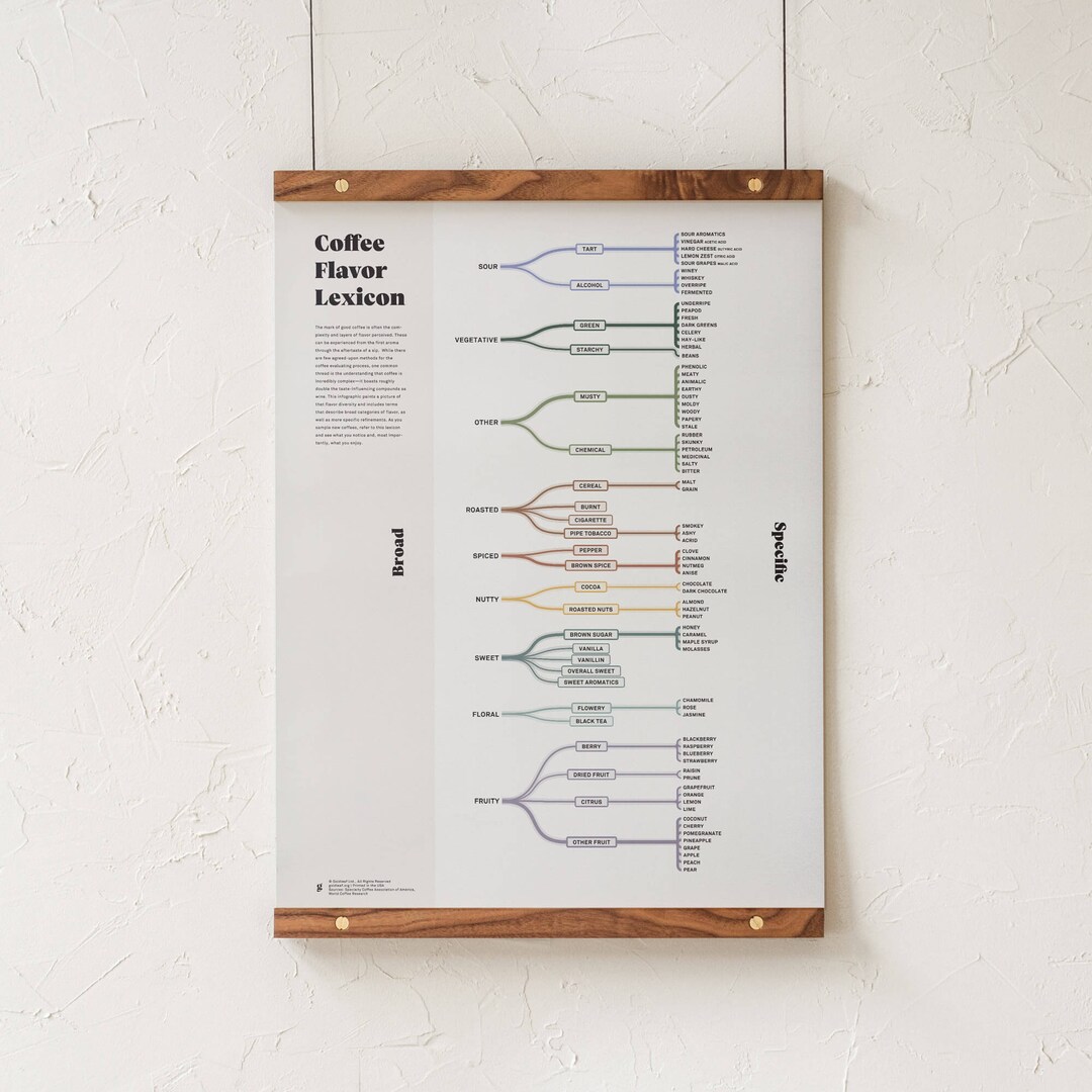 Coffee Flavor Lexicon Chart Print, Tasting Word Guide Coffee Poster ...