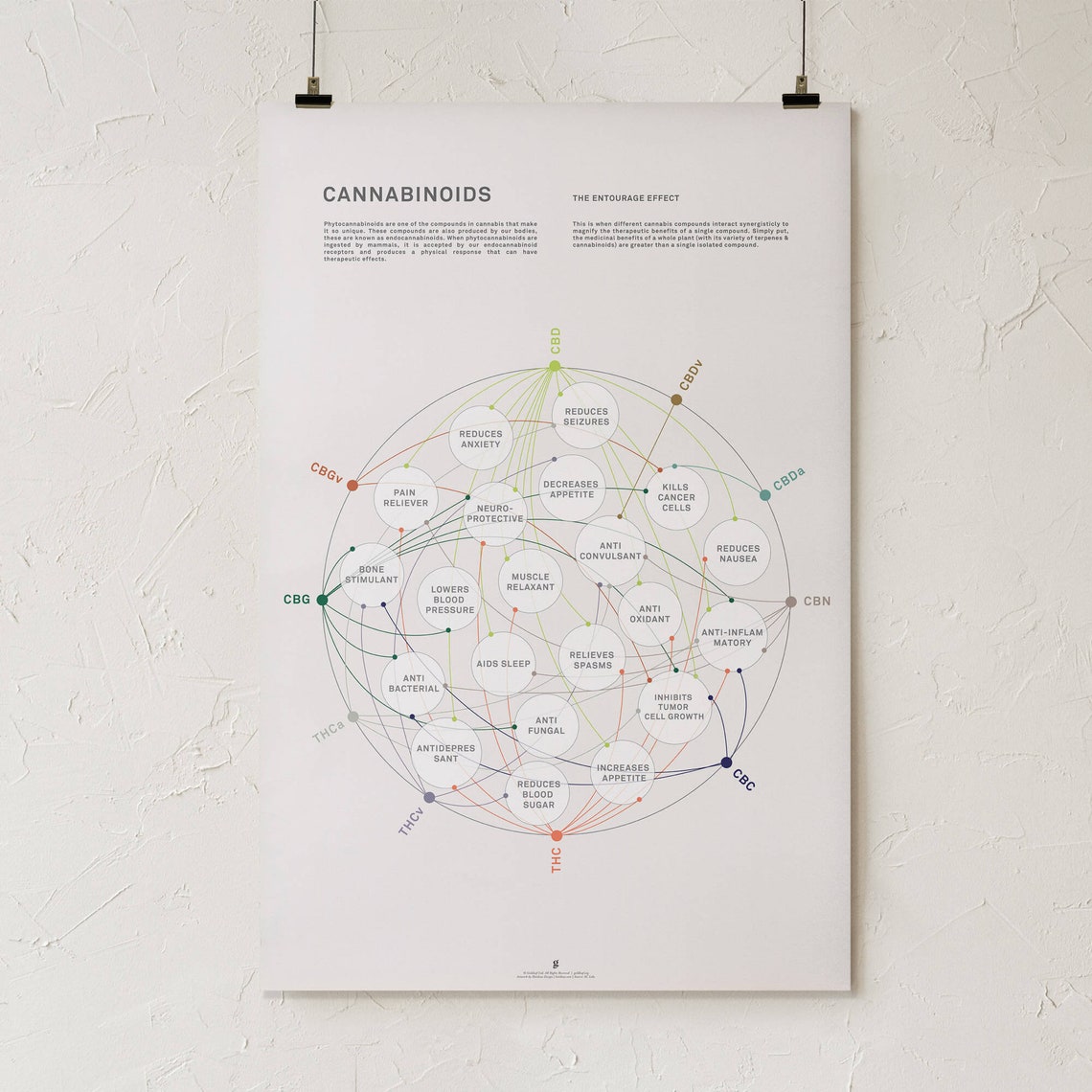 Cannabinoid Health Matrix Chart, Medical Marijuana Infographic Print ...
