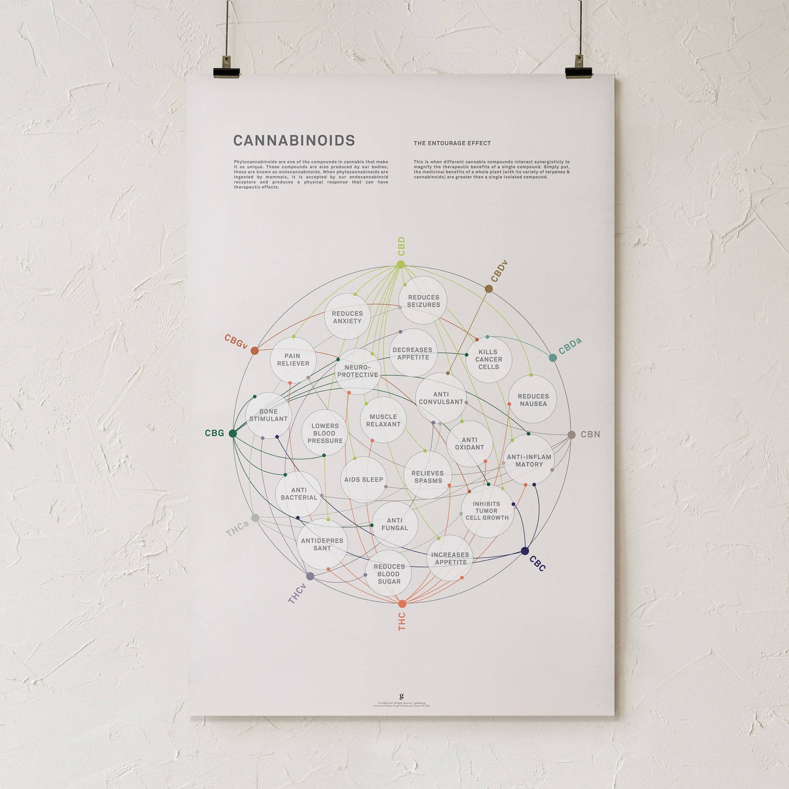 Cannabinoid Health Matrix Chart, Medical Marijuana Infographic Print ...