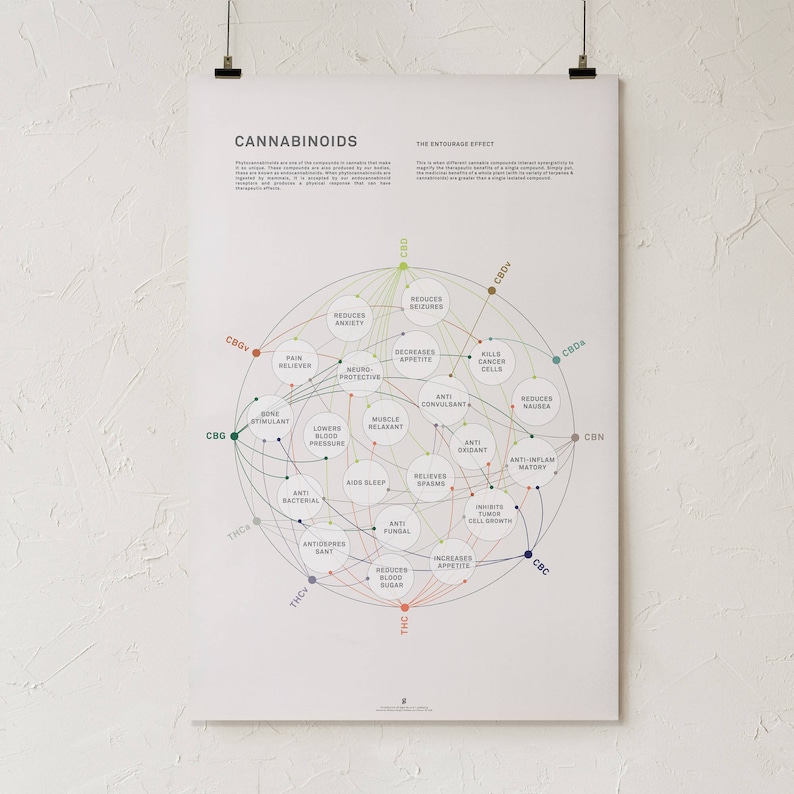 Cannabinoid Health Matrix Chart, Medical Marijuana Infographic Print ...