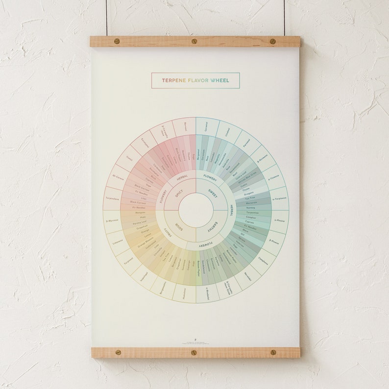 Terpene Flavor Wheel Diagram Chart of Terpene Aroma Print by | Etsy