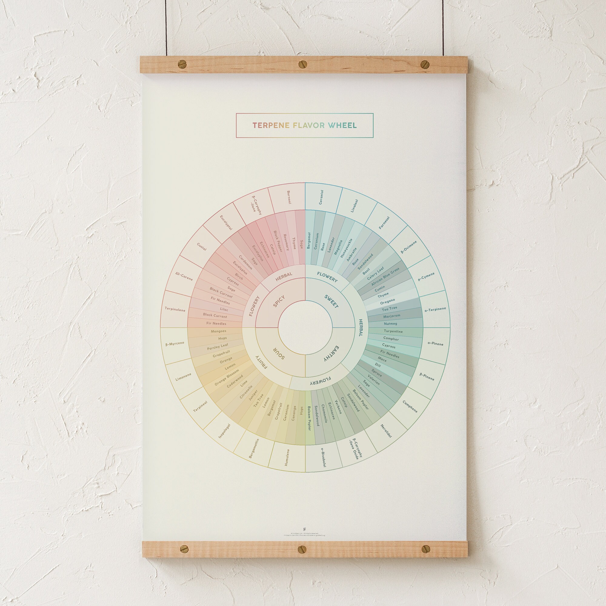 Terpene Flavor Wheel Diagram Chart of Terpene Aroma Print | Etsy UK
