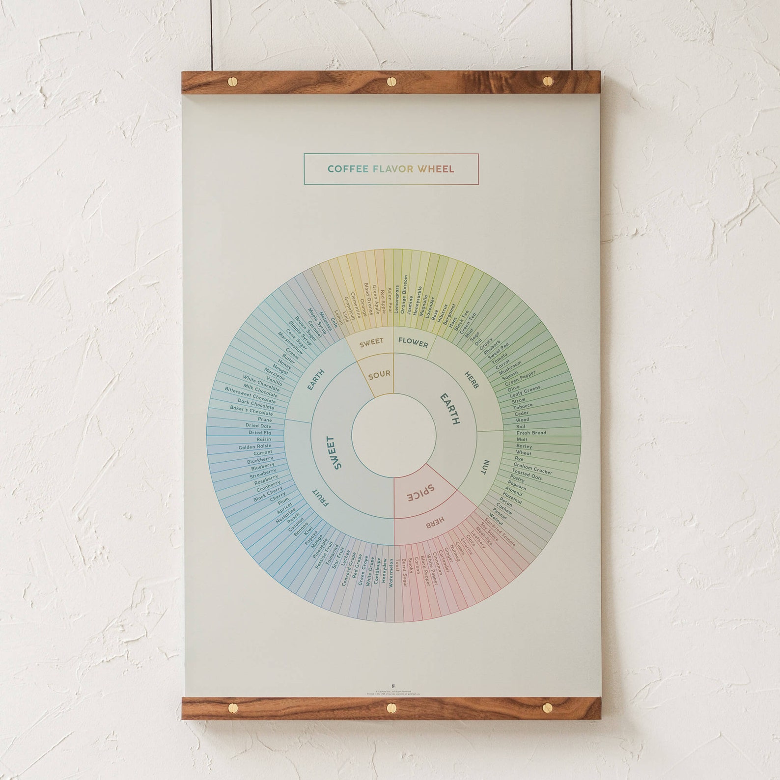 Coffee Flavor Wheel Chart Print Coffee Flavors Infographic | Etsy UK