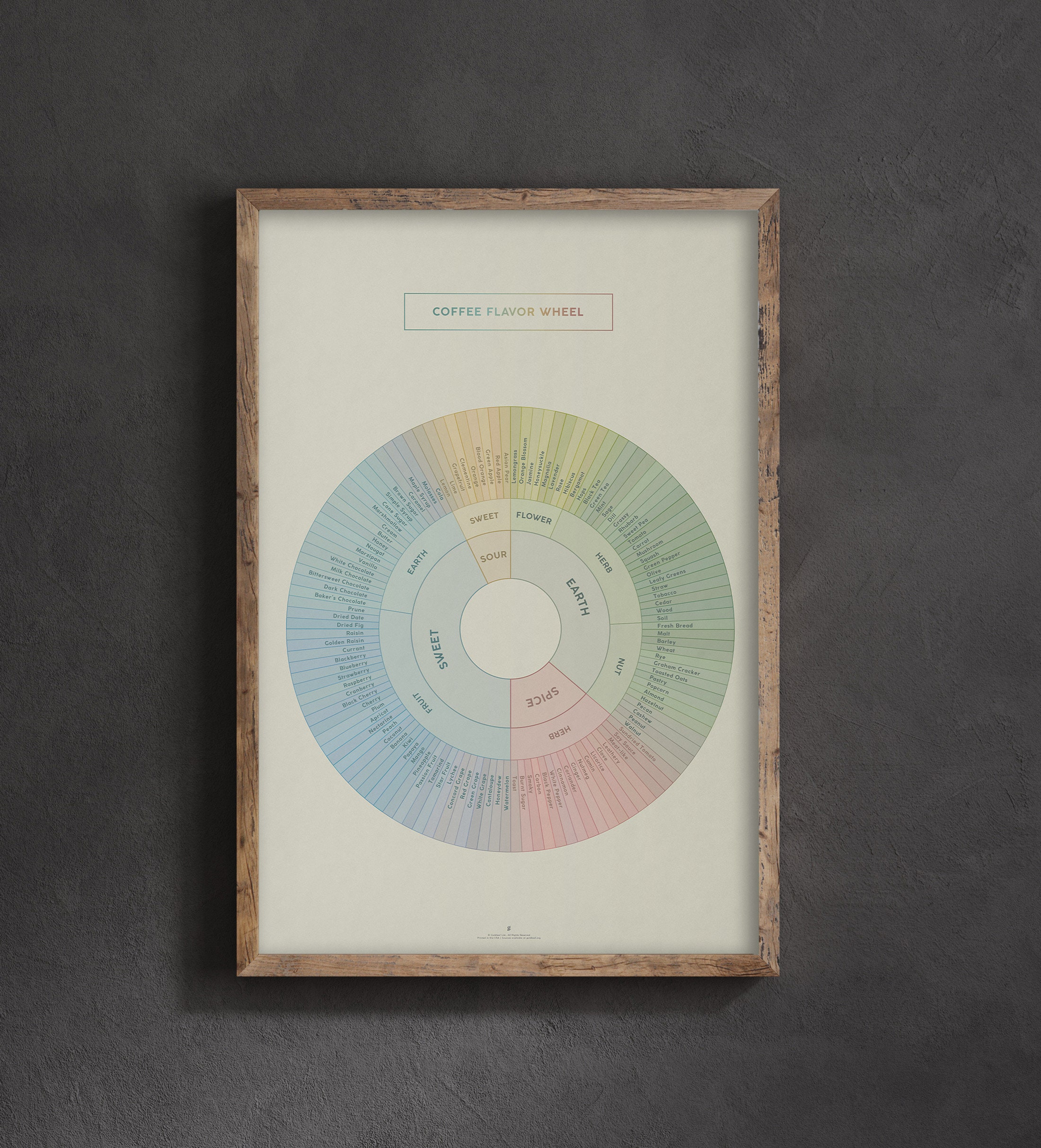 Coffee Flavor Wheel Chart Print Coffee Flavors Infographic - Etsy