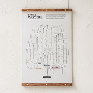 Coffee Family Tree Print, Coffee Varieties Chart, Rubiaceae Lineage ...