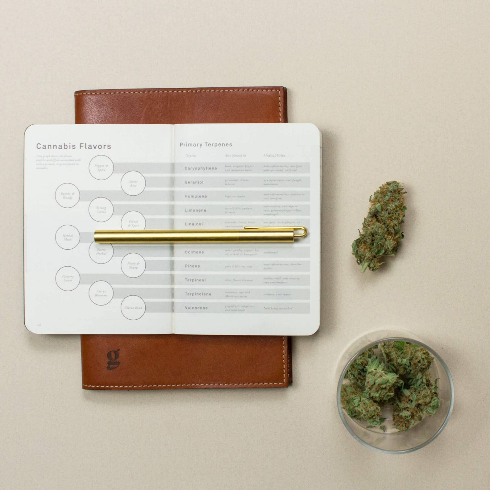 The Cannabis Taster: A Recreational Marijuana Tasting Journal - Etsy