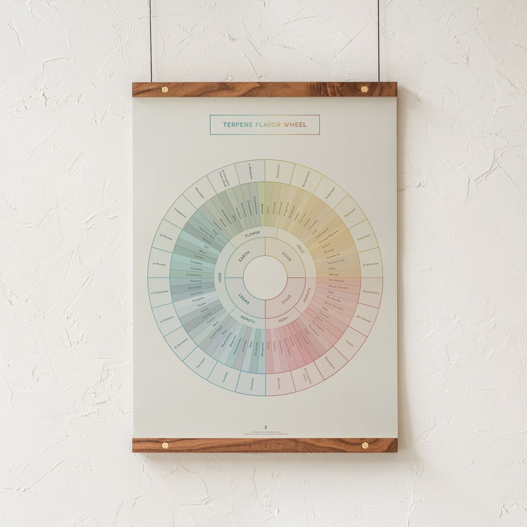 Terpene Flavor Wheel Diagram, Chart of Terpene Aroma Print, Cannabis ...