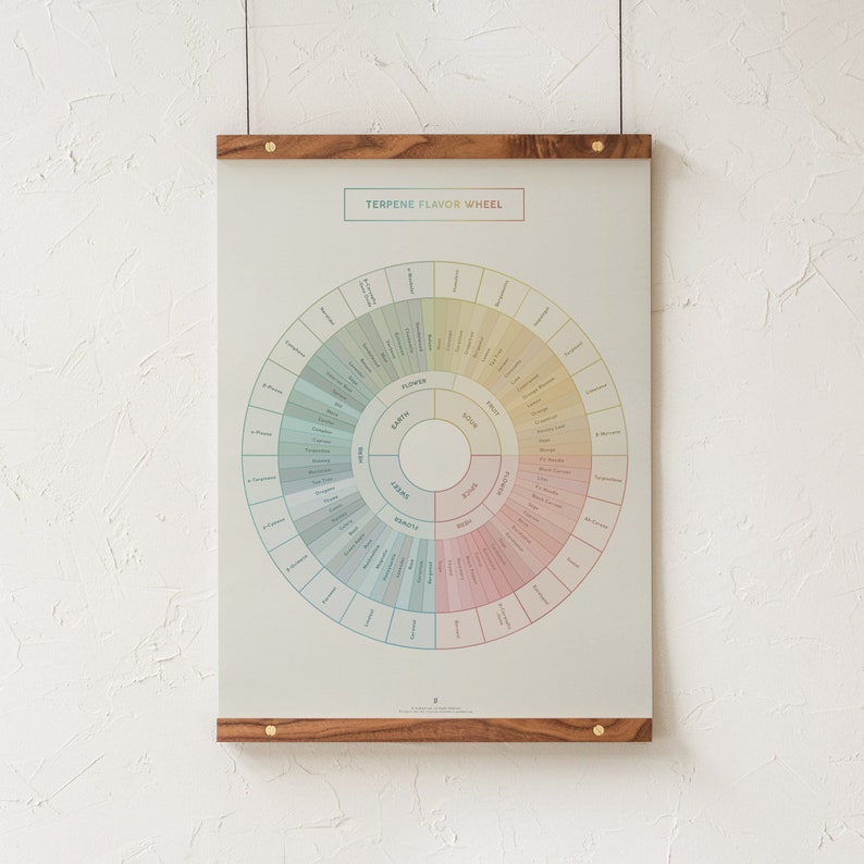 Terpene Flavor Wheel Diagram Chart of Terpene Aroma Print - Etsy
