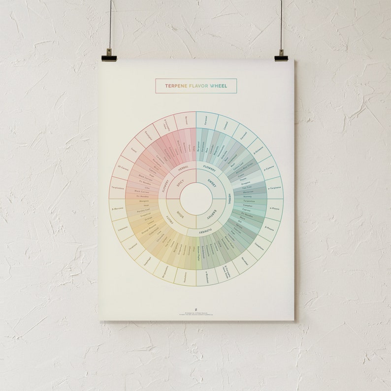 Terpene Flavor Wheel Diagram Chart of Terpene Aroma Print by | Etsy