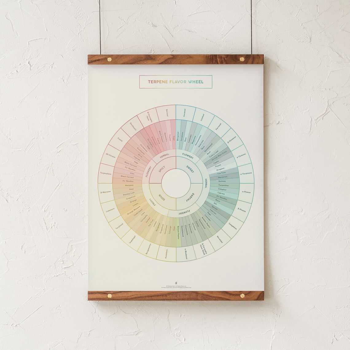 Terpene Flavor Wheel Diagram Chart of Terpene Aroma Print by | Etsy