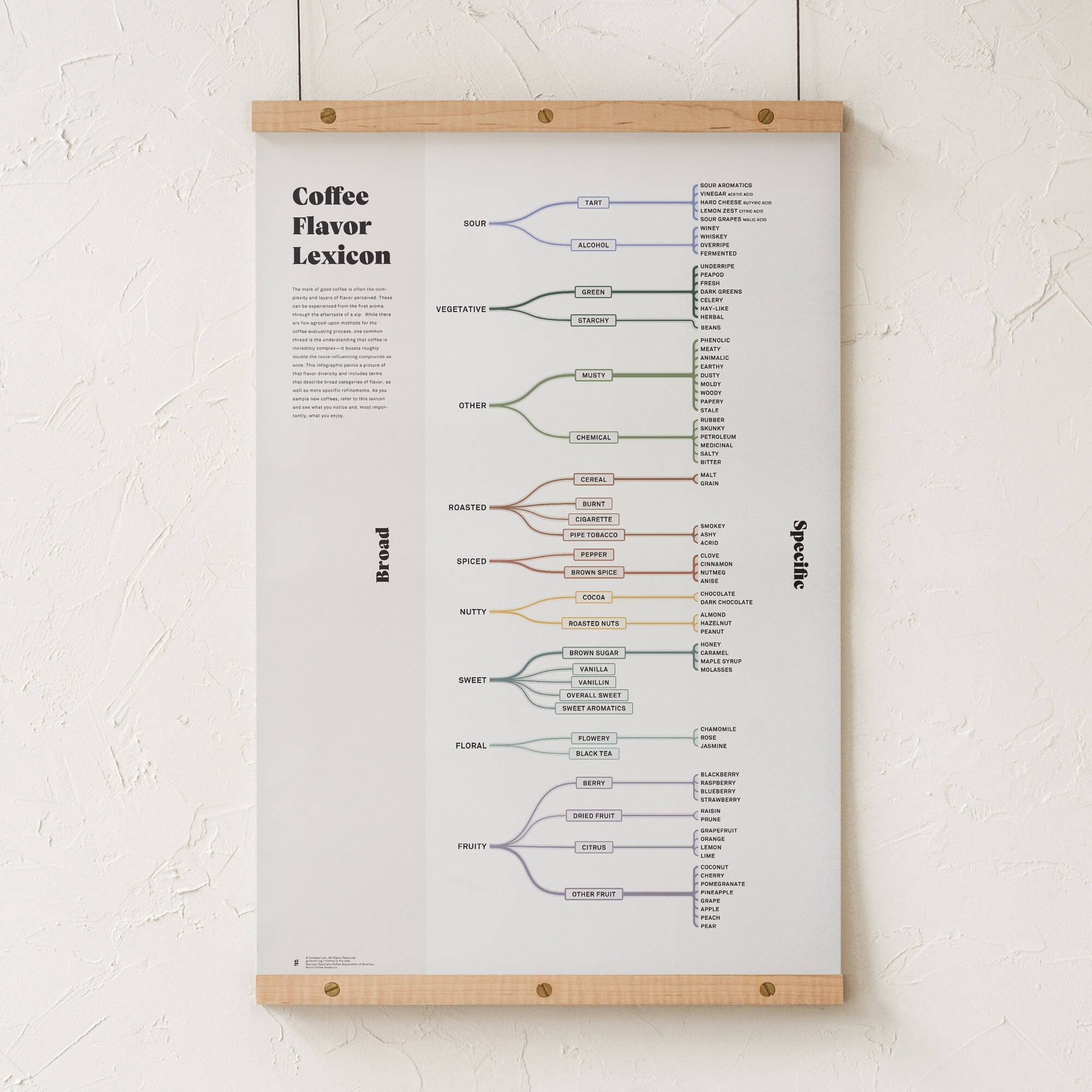 Coffee Flavor Lexicon Chart Print, Tasting Word Guide Coffee Poster ...