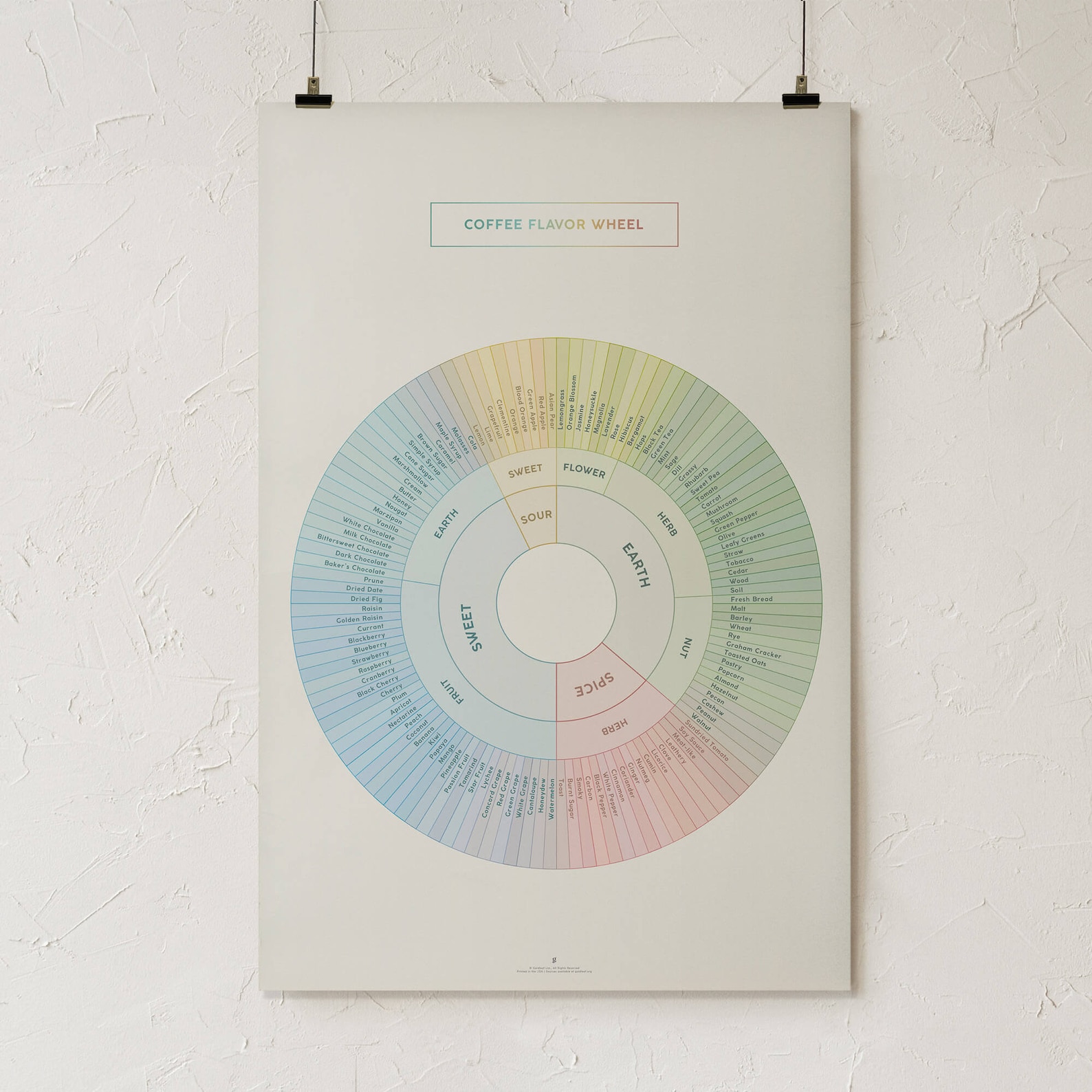 Coffee Flavor Wheel Chart Print, Coffee Flavors Infographic Poster ...