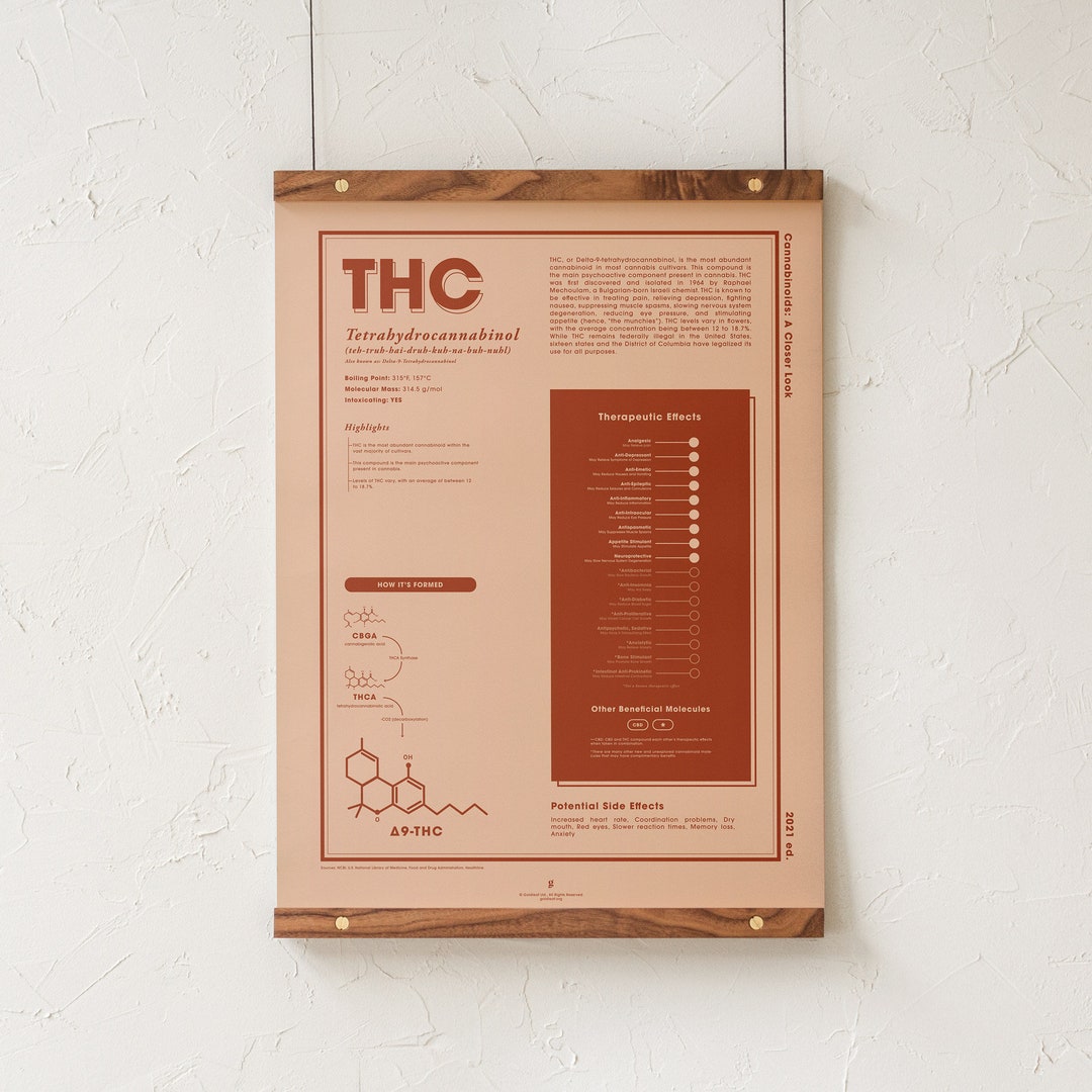 THC: A Closer Look Print, Cannabinoid Infographic Chart, Medical ...